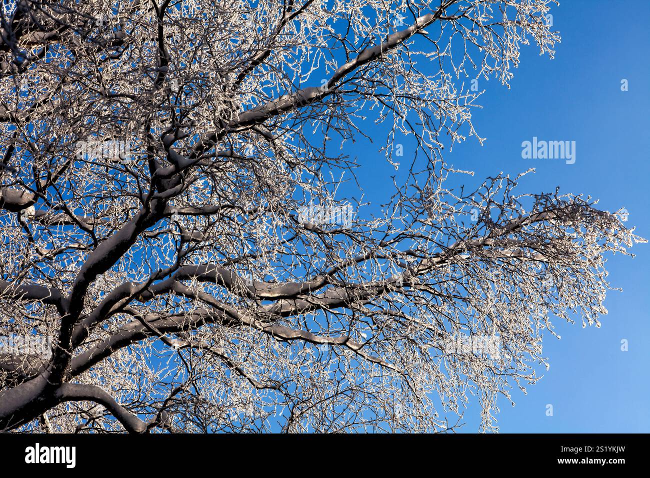 Winter season landscape scene hi-res stock photography and images - Alamy