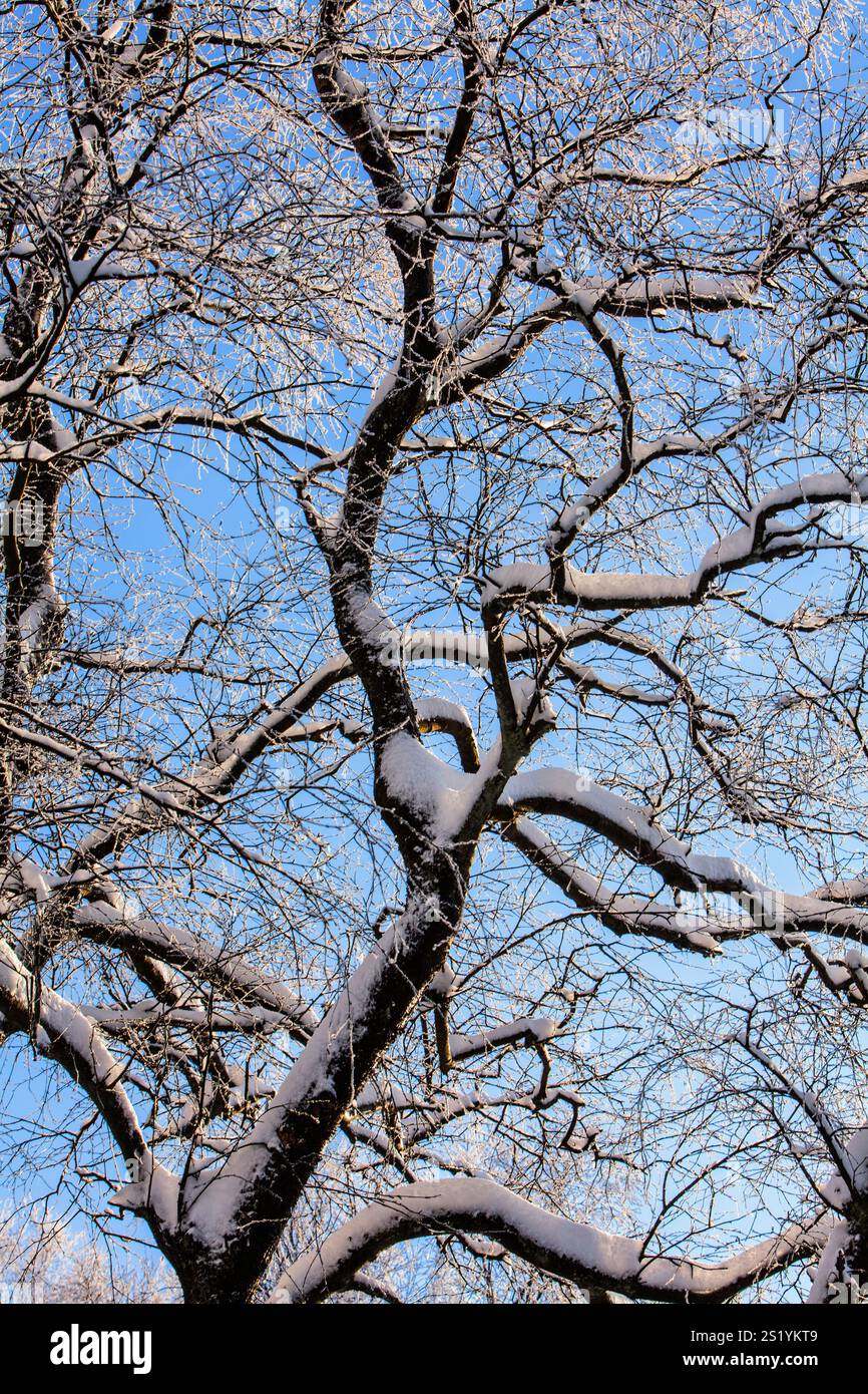 Winter season landscape scene hi-res stock photography and images - Alamy