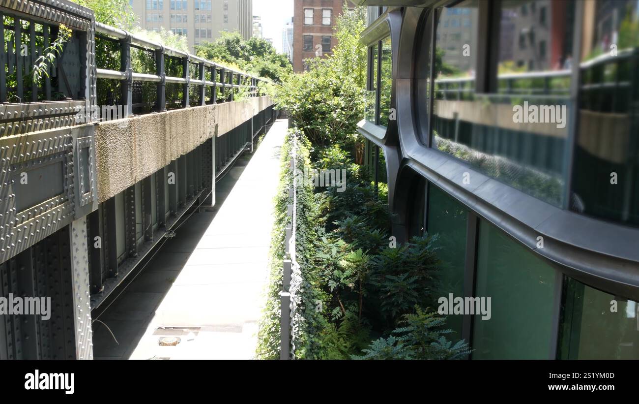 New York City High Line elevated greenway, Manhattan Midtown, USA ...