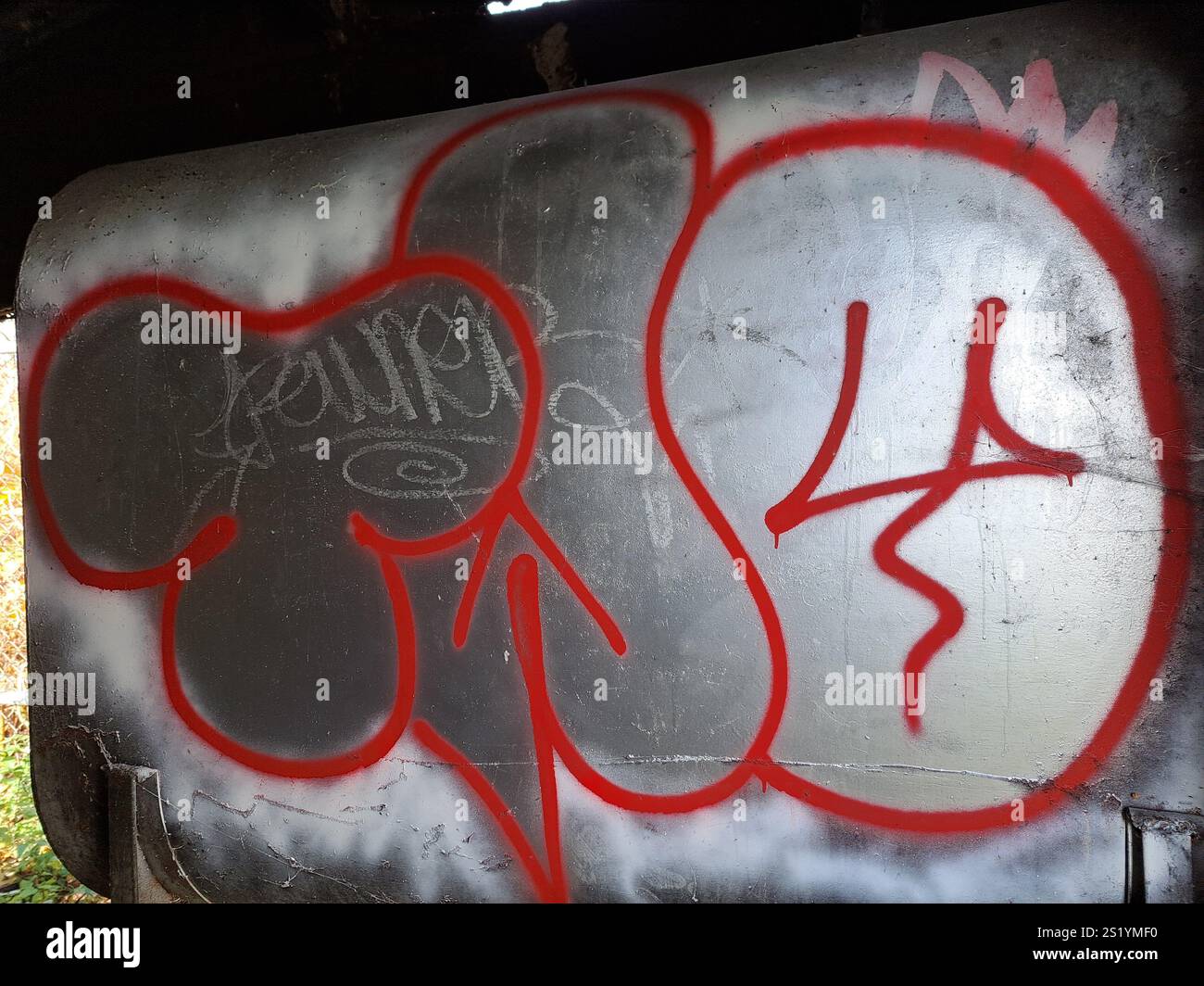 Graffiti tagged on the utility shed at Toronto Harbour Lighthouse at ...