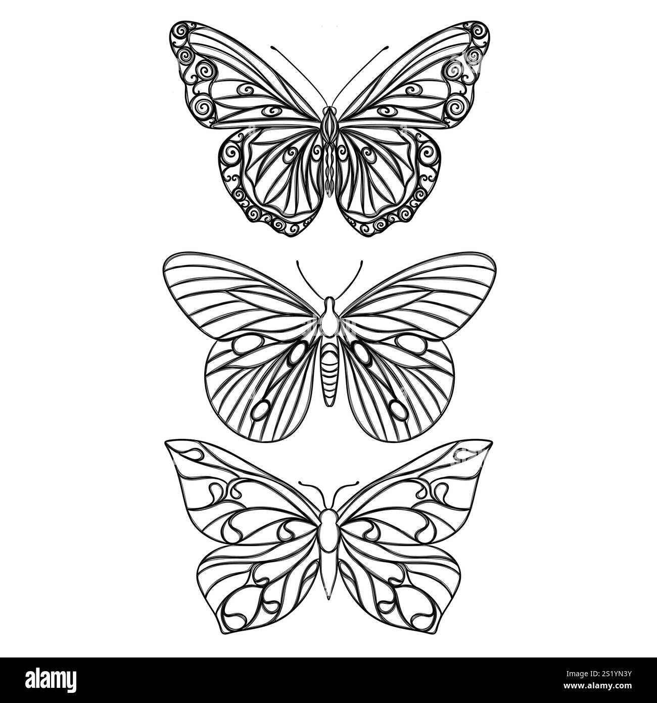 Line art butterfly, Layout for printing illustrations on T-shirts ...
