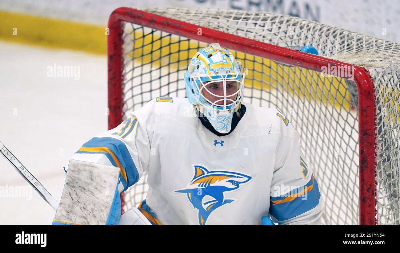 LIU goaltender Noah Rupprecht (31) during an NCAA hockey game against ...