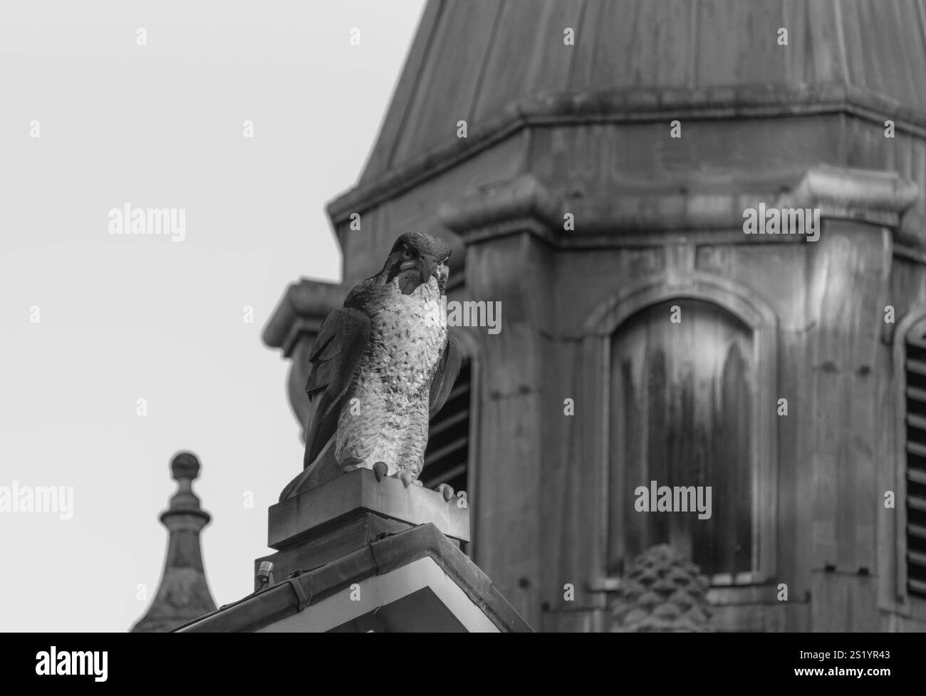 State of a falcon on the roof of Falcon House, 60 Lombard St, London ...