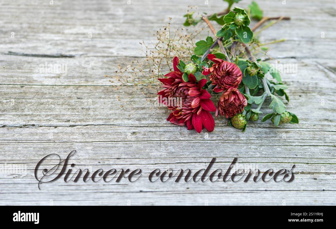 Condolence card with dark red chrysanthemums and English text: Sincere ...