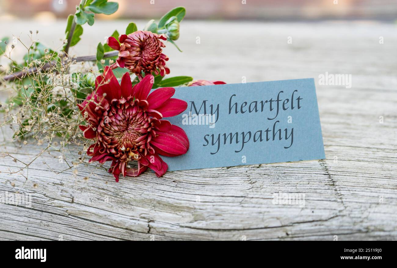 Condolence card with dark red chrysanthemums and English text: My ...