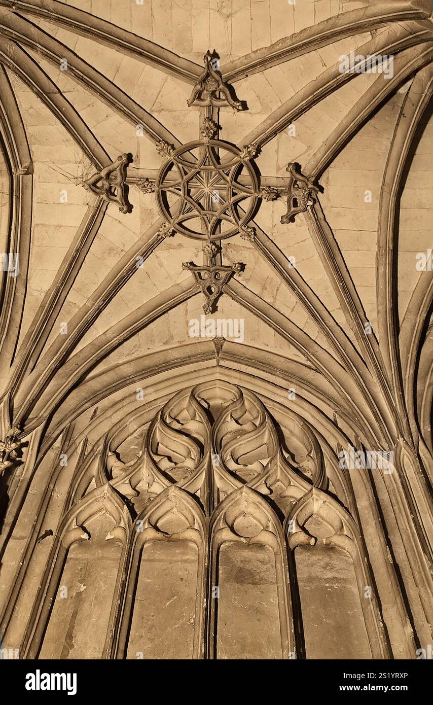 Admire the stunning gothic ceiling of Sainte-Secile Cathedral ...