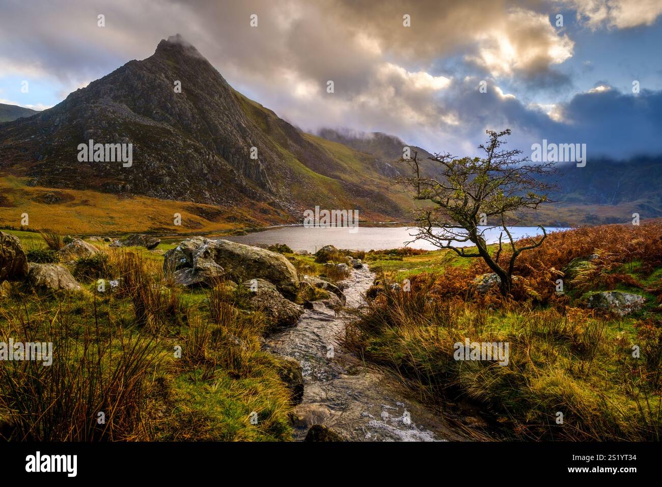 Across the Ogwen Valley to Tryfan & the Glyders in Snowdonia National ...
