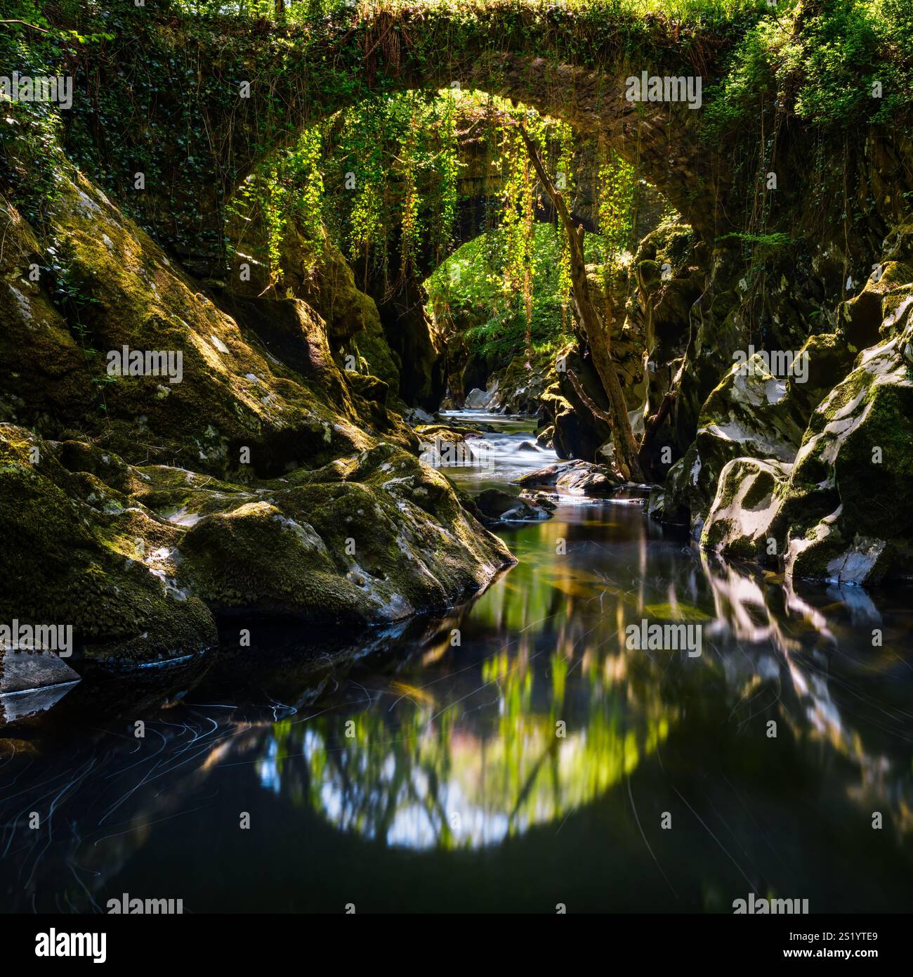 An old stone packhorse bridge known as Roman Bridge draped in Ivy in ...