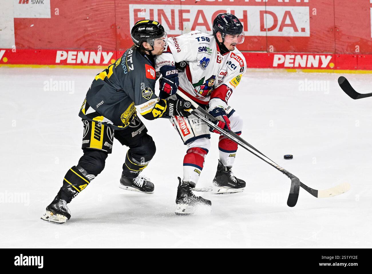 Eishockey DEL2 - 24/25 - 34. Spieltag: Krefeld Pinguine vs EHC Freiburg ...