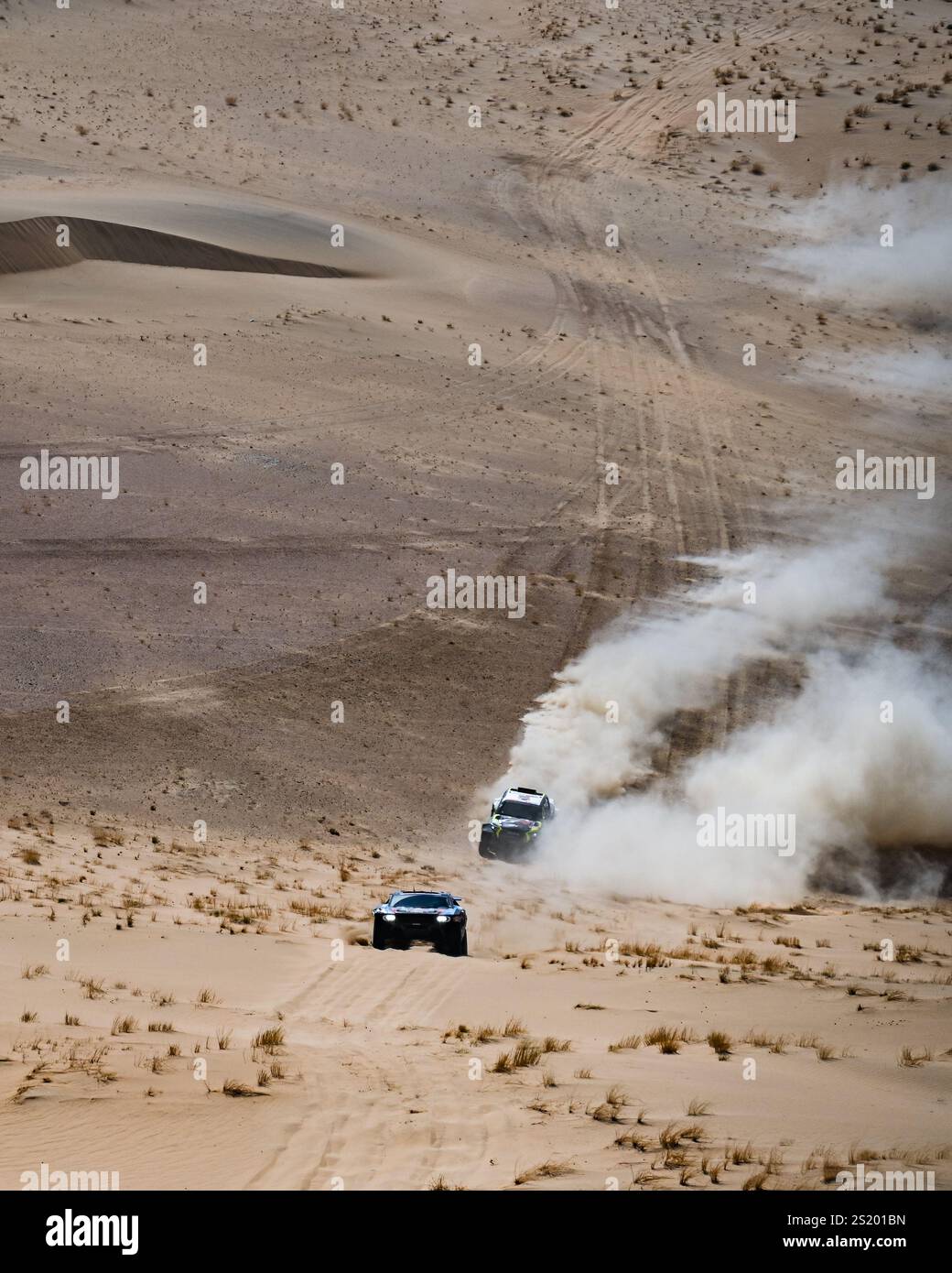 226 EKSTROM Mattias (swe), BERGKVIST Emil (swe), Ford, Ford M-Sport ...