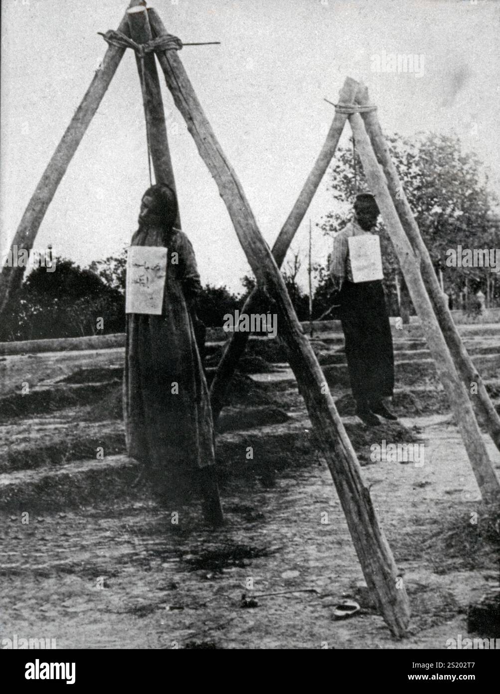 Armenian Genocide. Executions of Armenians, by hanging, by Turkish ...