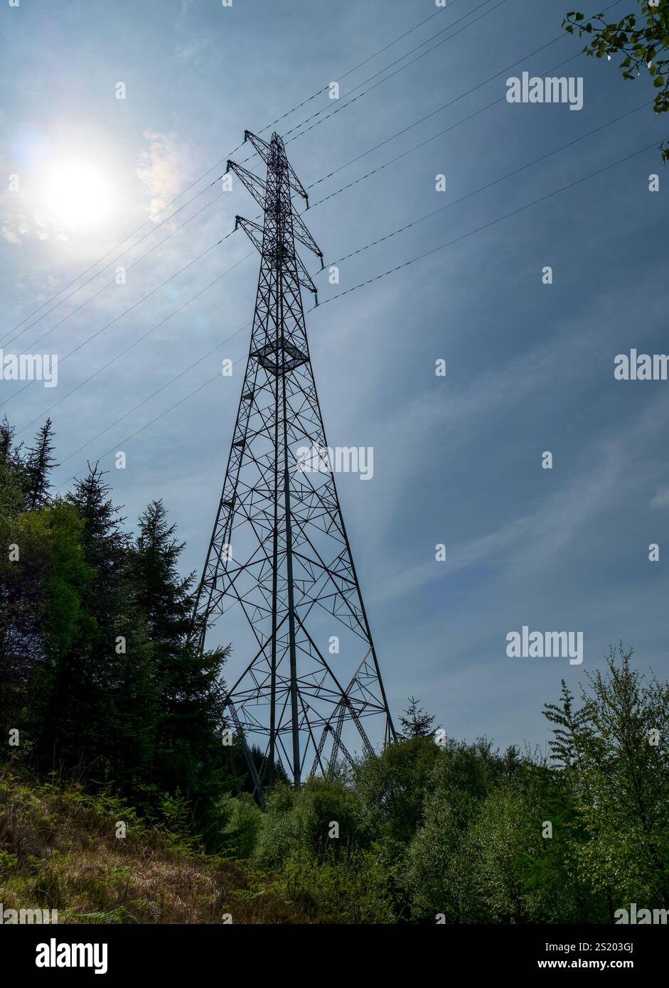 Tall electricity pylon carrying high voltage electricity transmission ...