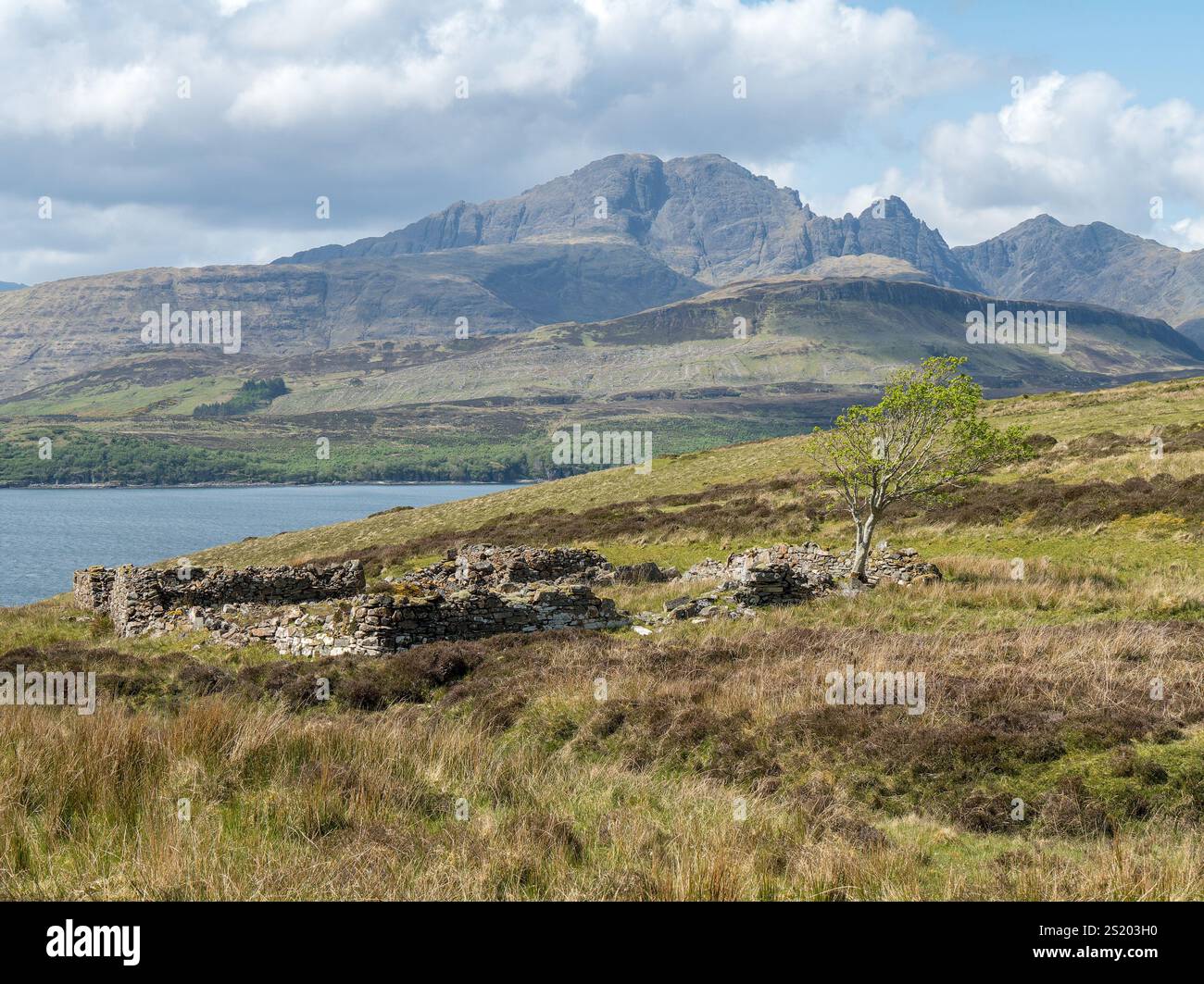 Ruined croft walls of the deserted settlement of Suisnish with the ...