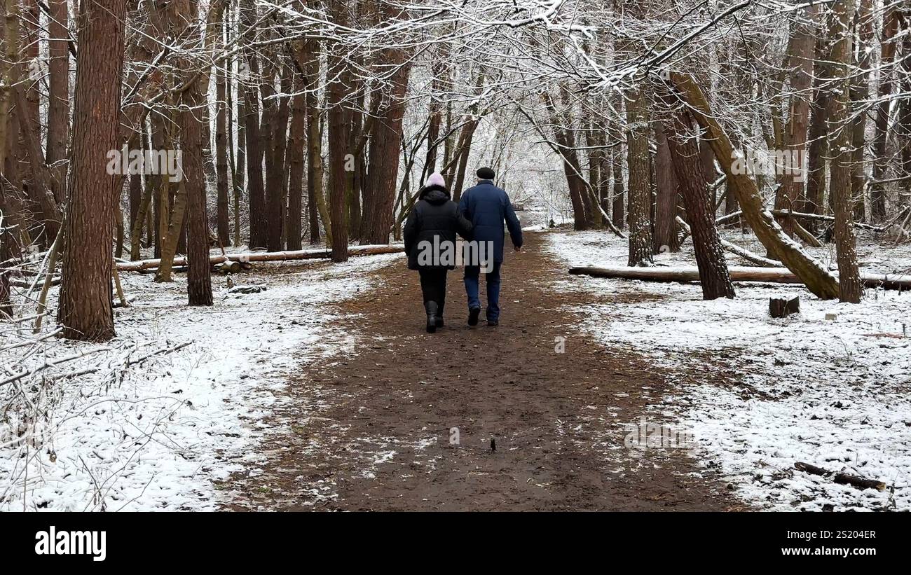 Mature couple going on snowy path at winter pine forest. Senior husband ...