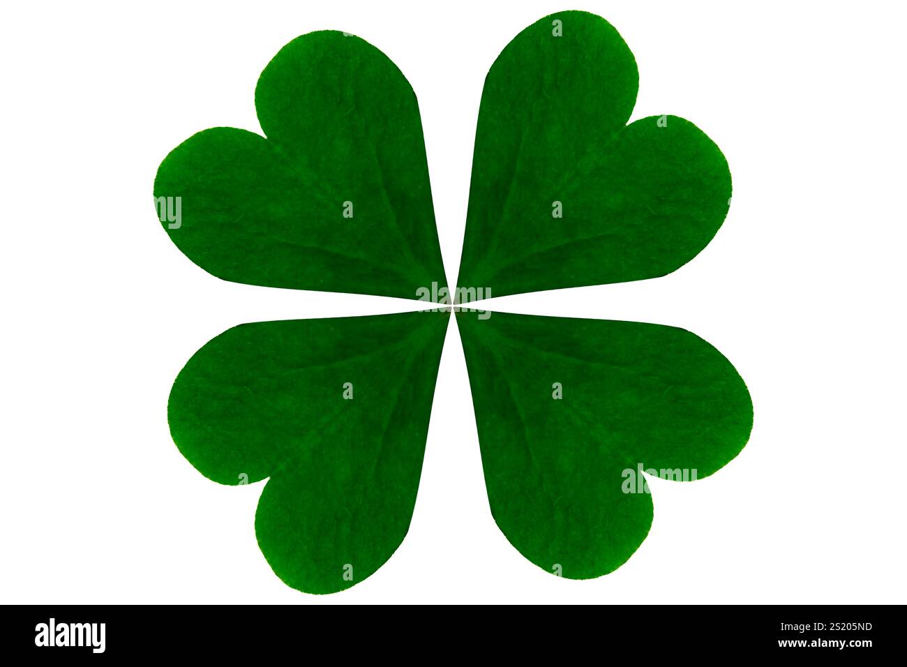 Four leaf clover isolated on plain background Stock Photo - Alamy