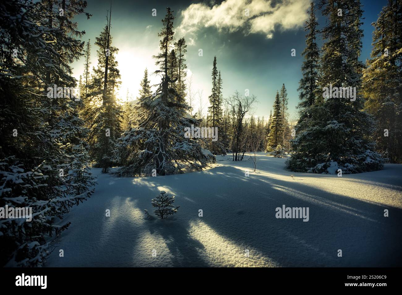 Beautiful cold winter landscape hi-res stock photography and images - Alamy