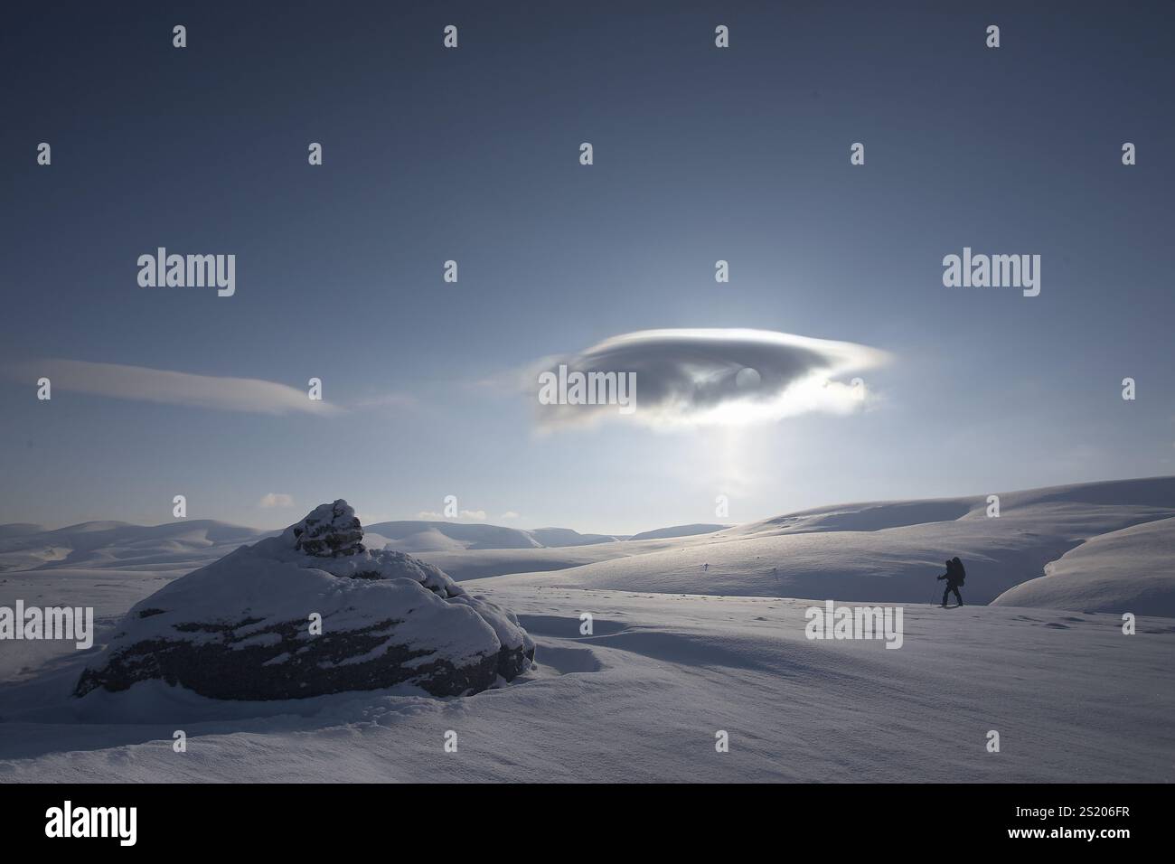 beautiful arctic winter landscape with snowy forest in the background ...