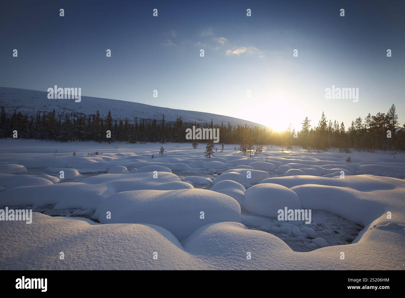 beautiful arctic winter landscape with snowy forest in the background ...