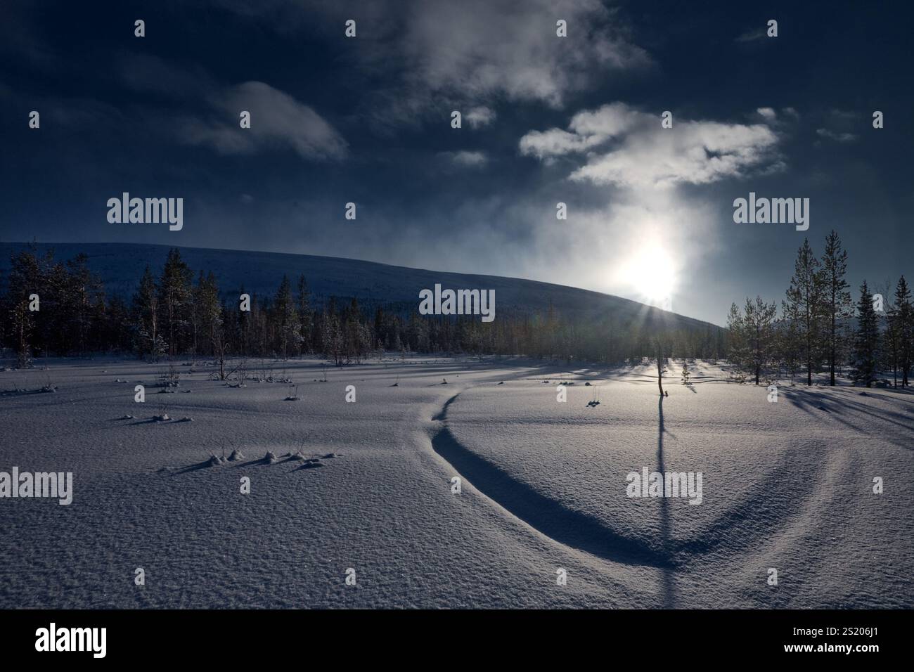 beautiful arctic winter landscape with snowy forest in the background ...