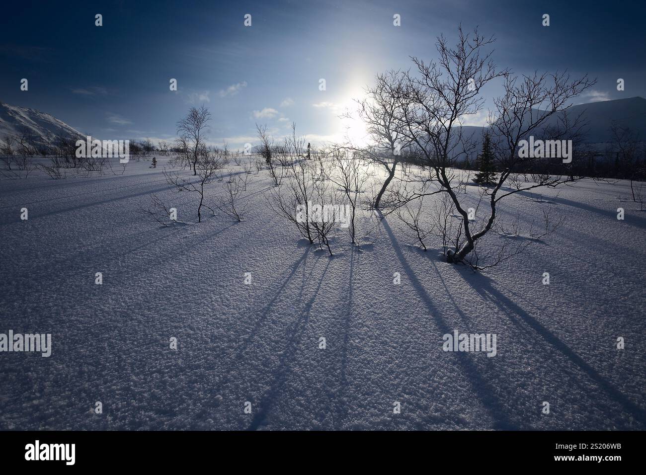 beautiful arctic winter landscape, very cold climate Stock Photo - Alamy