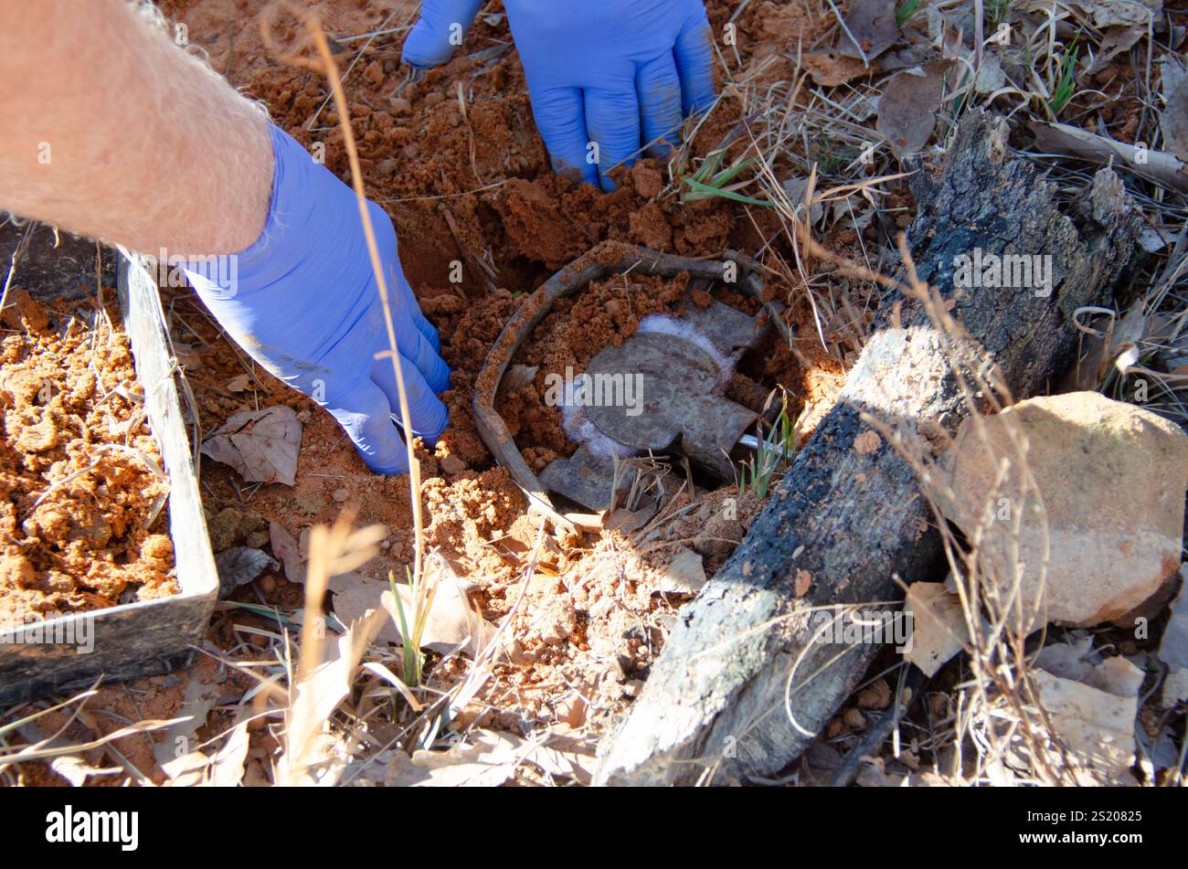 Wildlife management trapping for predator control. Trapping hunting ...