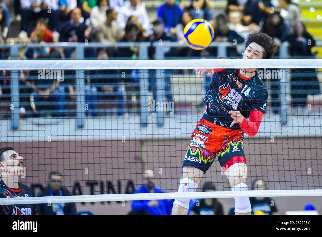 (Sir Susa Vim Perugia) during Cisterna Volley vs Sir Susa Vim Perugia, Volleyball Italian Serie ...