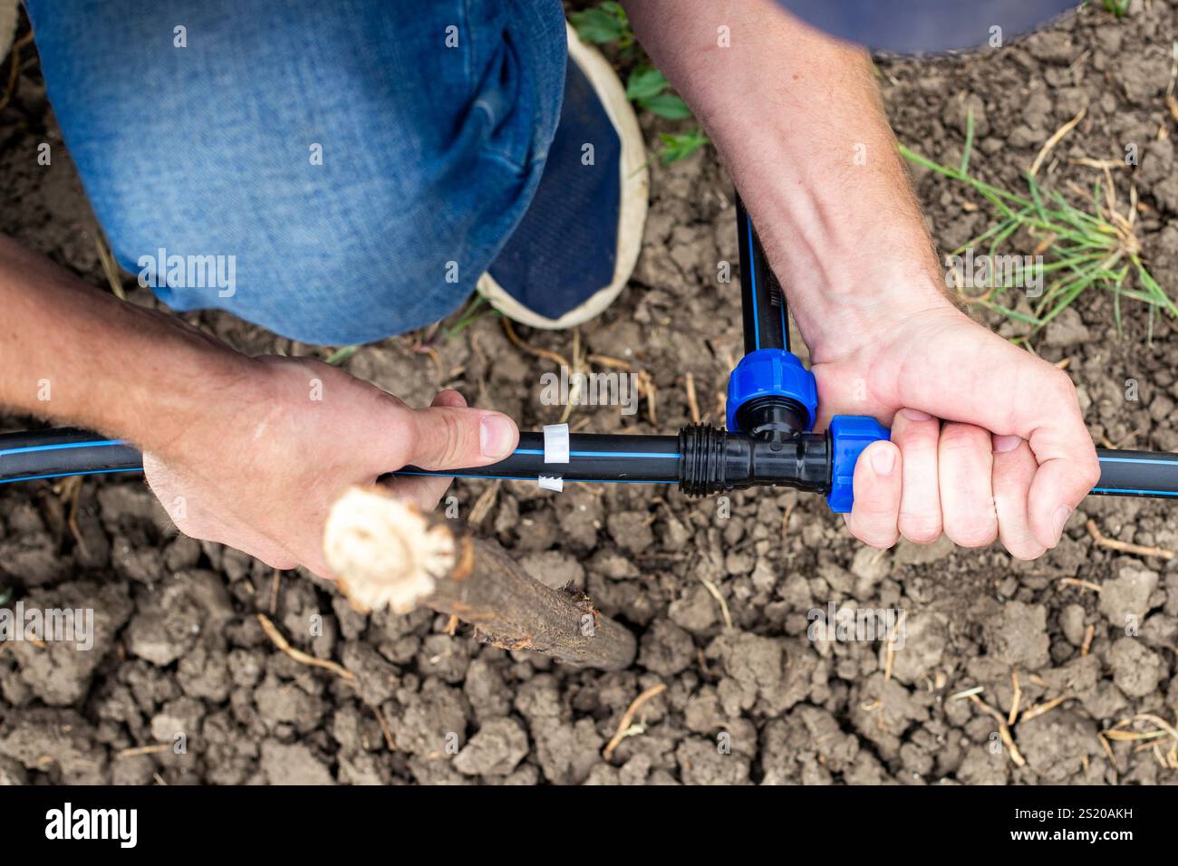 Fastening and connecting HDPE pipes with a fitting. A man installs an ...