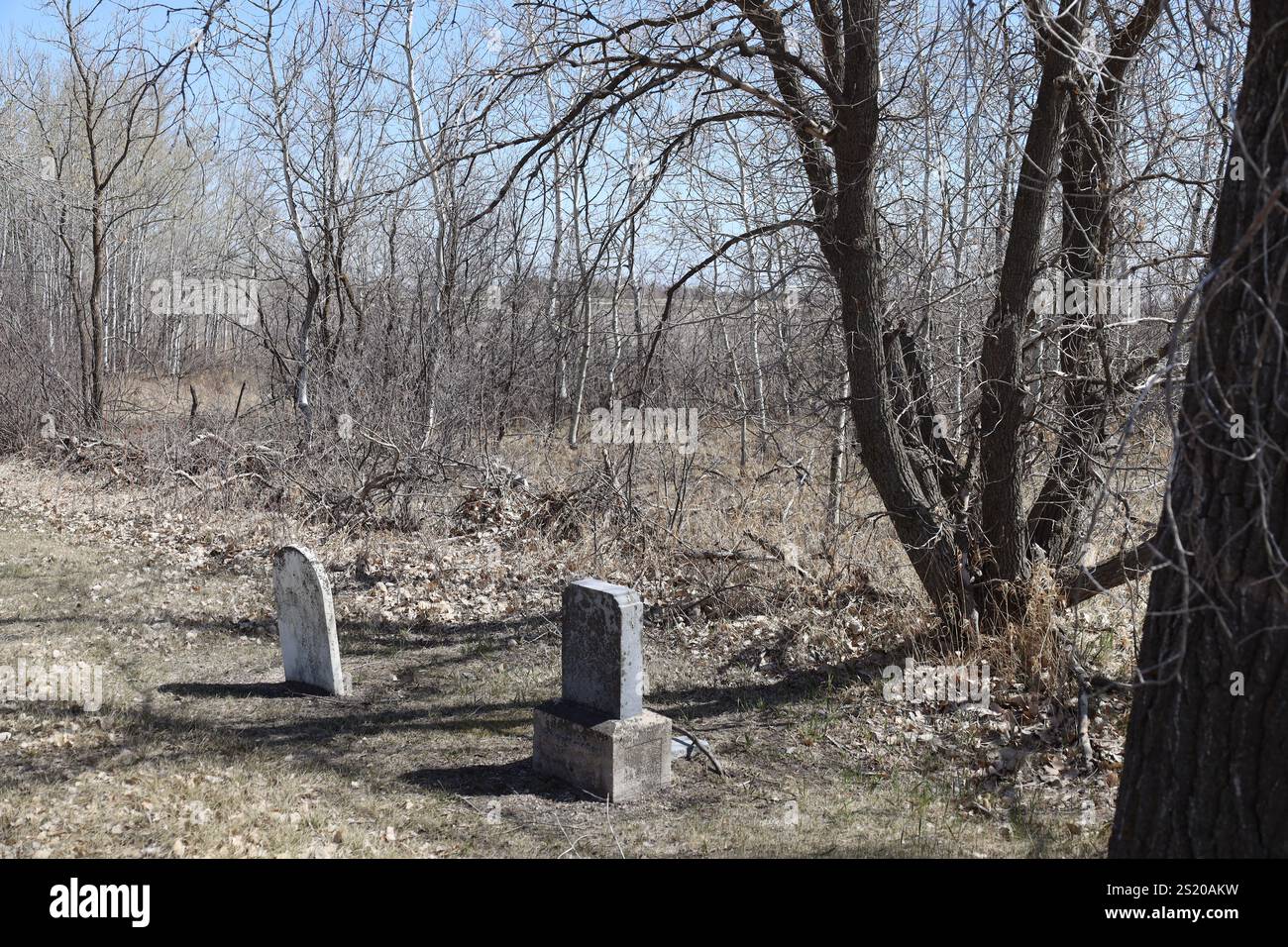 Shadowy graves hi-res stock photography and images - Alamy