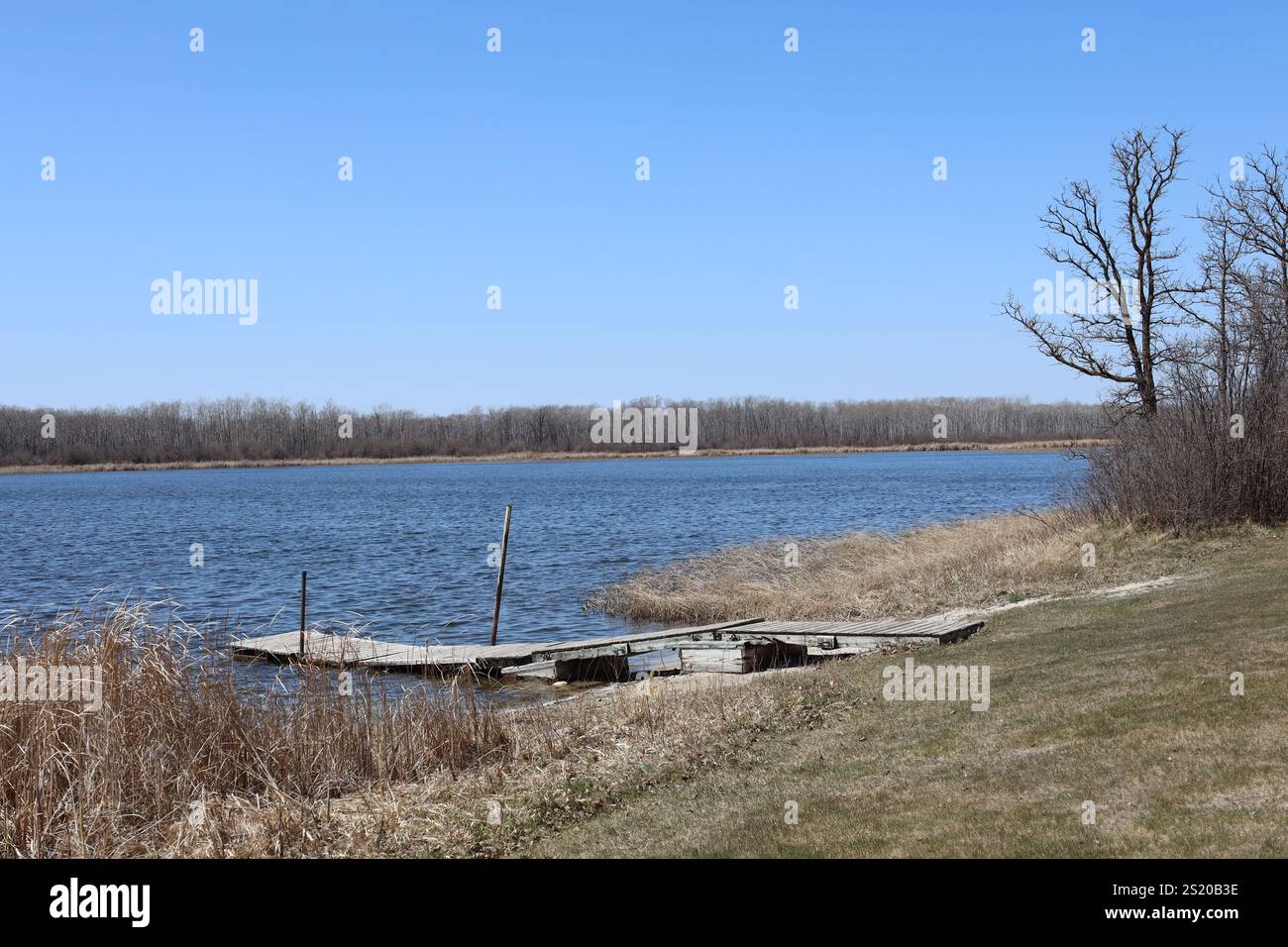 rustic wooden dock on a lake under blue skies Stock Photo - Alamy