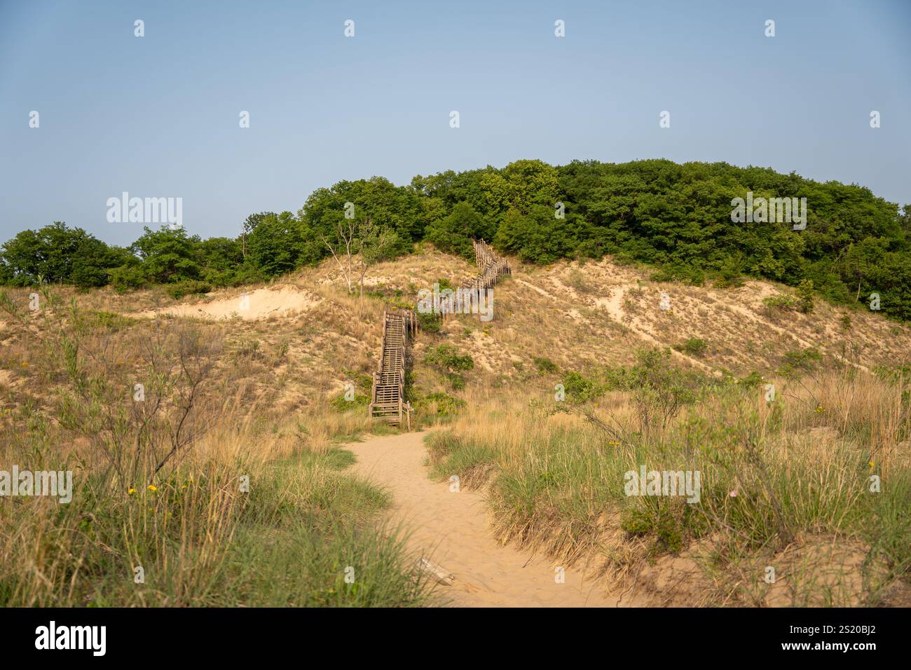 Scenic Pathway through Indiana Dunes National Park with Wooden ...