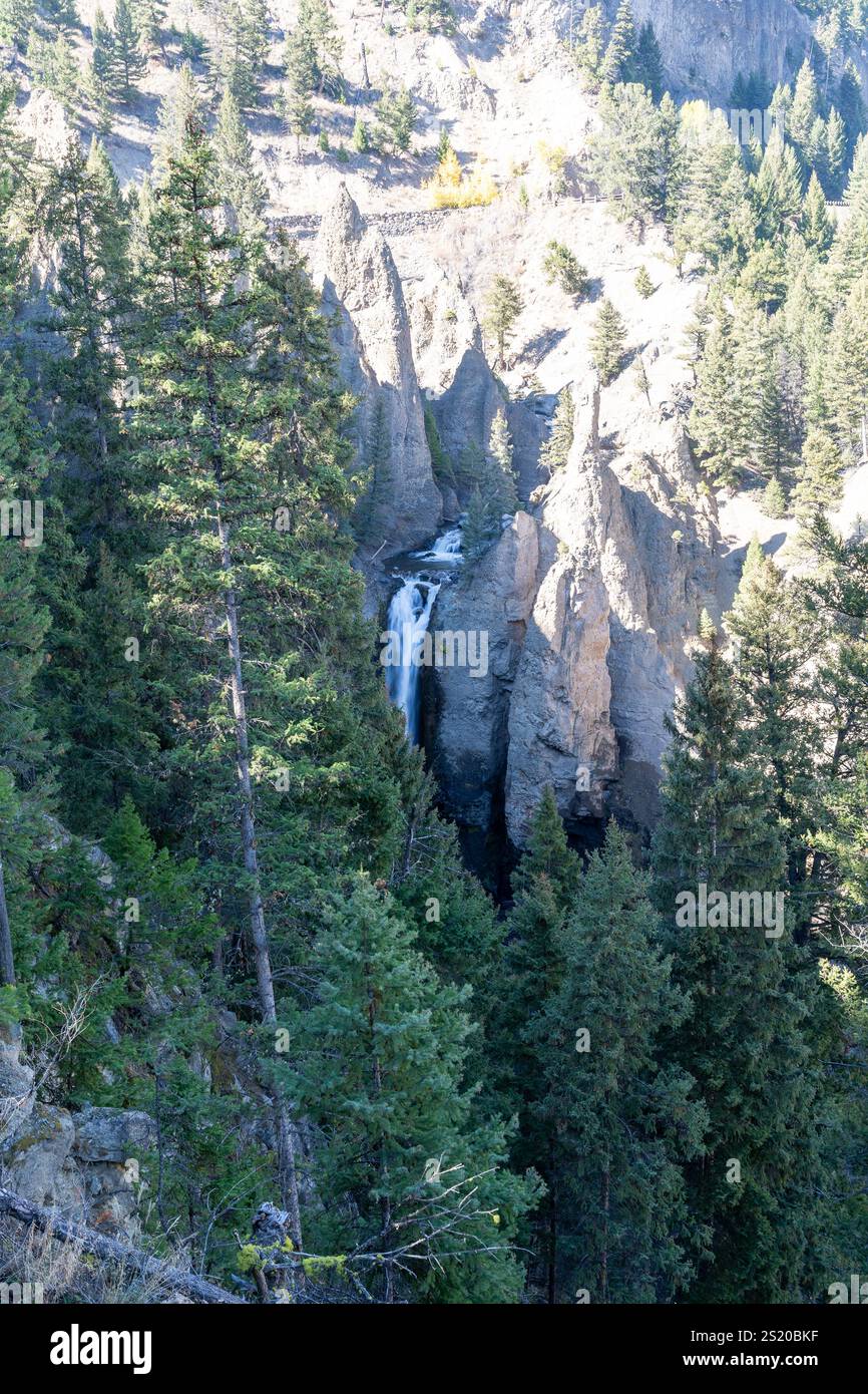 Tower Fall in Yellowstone National Park Surrounded by Lush Pine Trees ...