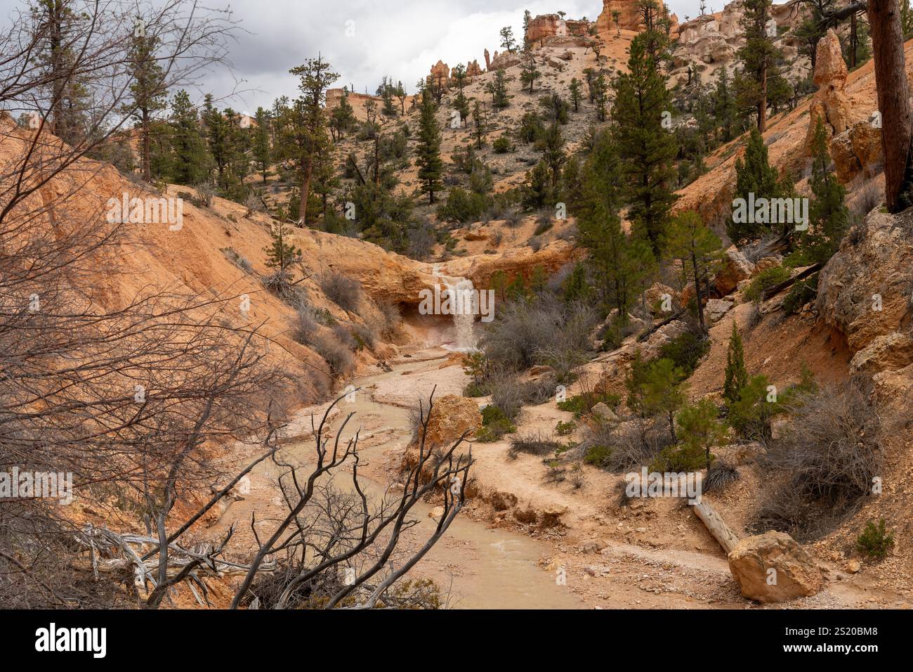 Breathtaking View of Tropic Ditch Falls in Bryce Canyon's Scenic ...