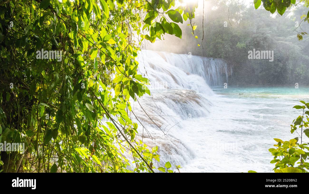 Landsape of Agua Azul with waterfalls in the Tropical forest of ...