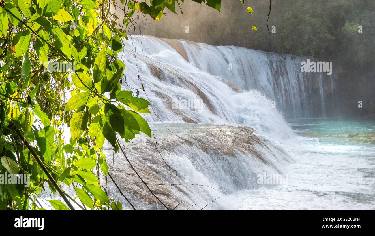 Landsape of Agua Azul with waterfalls in the Tropical forest of ...