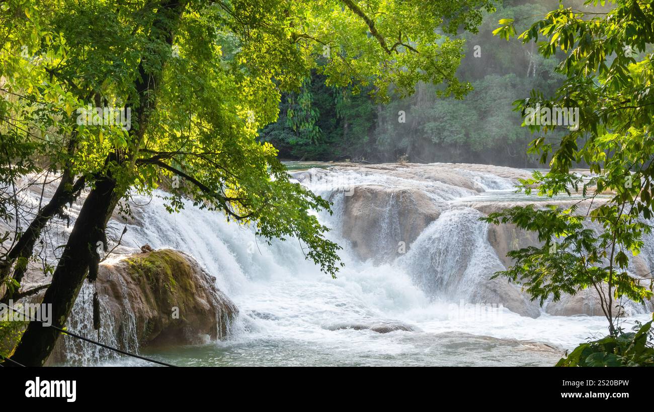 Landsape of Agua Azul with waterfalls in the Tropical forest of ...