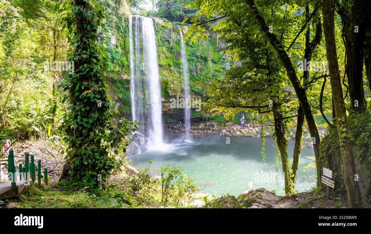 Waterfall of Misol Ha in Chiapas state of Mexico Stock Photo - Alamy