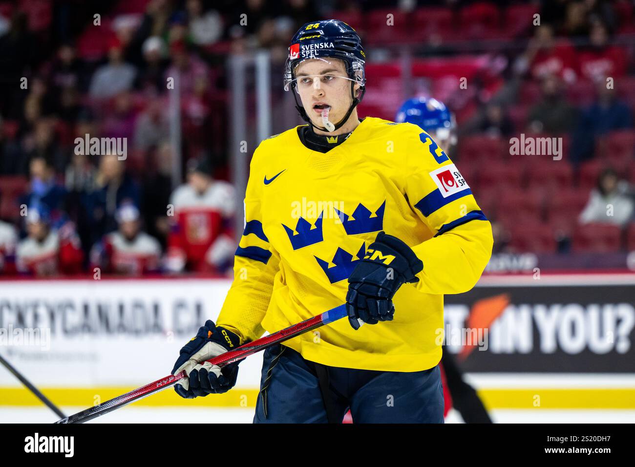 Tom Willander of, Sweden. , . during the 2025 IIHF World Junior ...