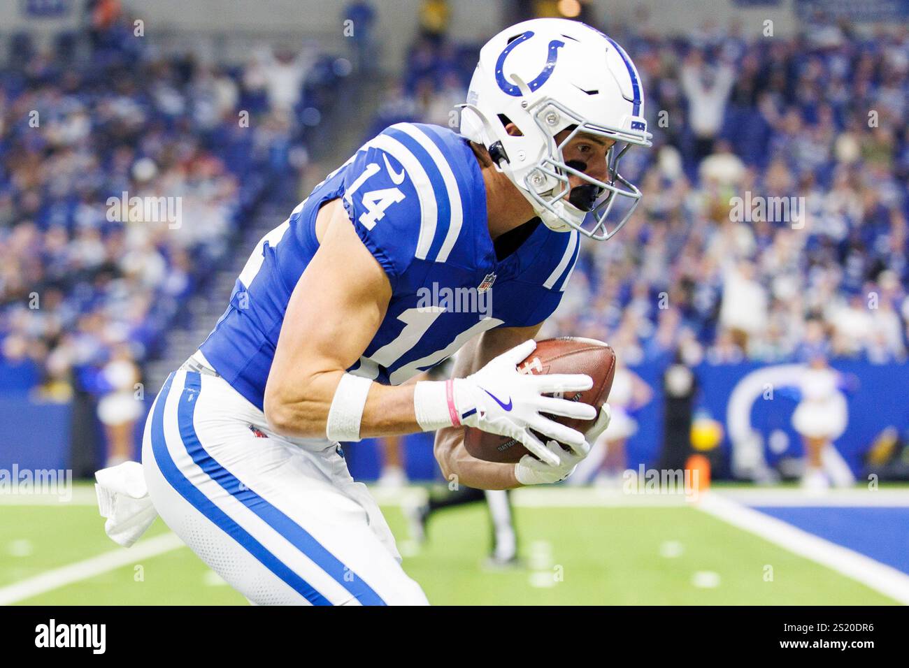 2025 _0268 jpg hi-res stock photography and images - Alamy