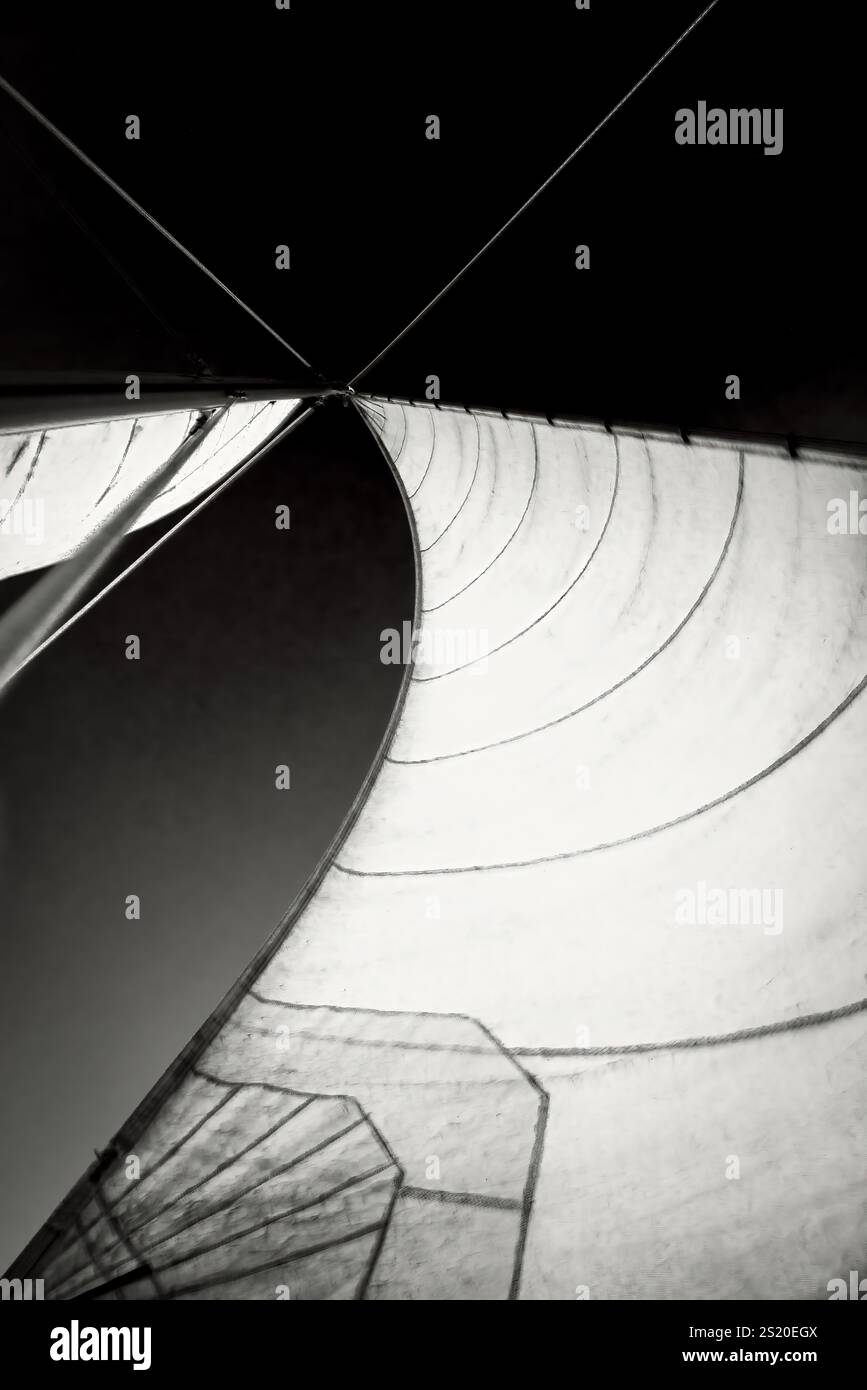 The intricate geometry of a sail captured in monochrome, highlighting ...