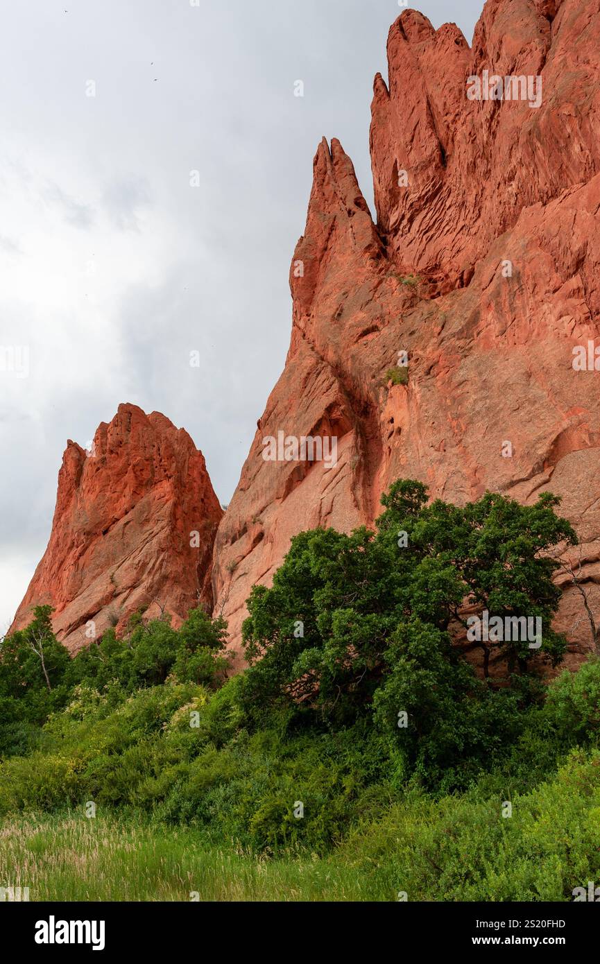 Rock formations in Garden of the Gods, Colorado Springs, Colorado, USA ...