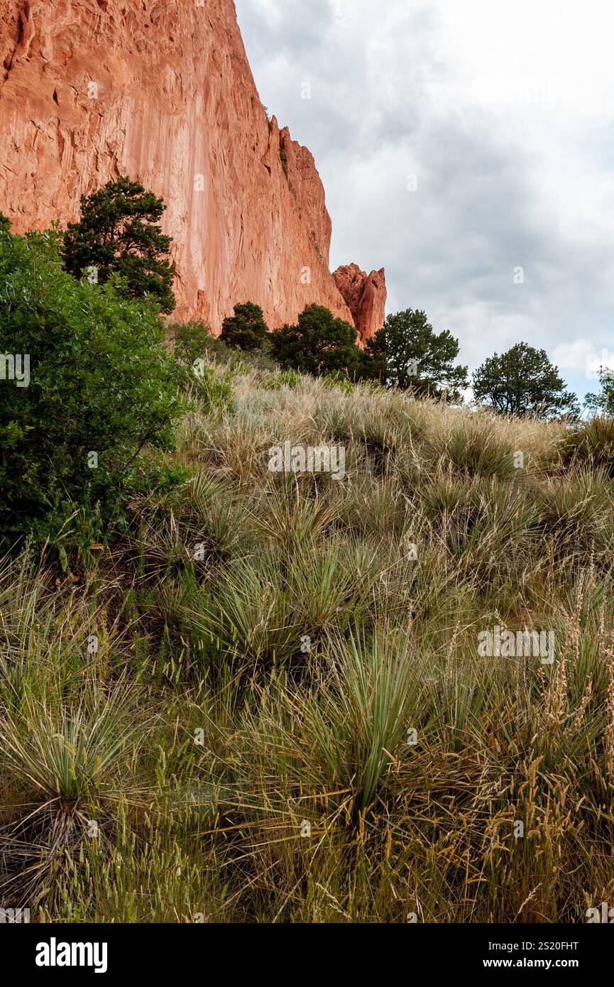 Rock formations in Garden of the Gods, Colorado Springs, Colorado, USA ...