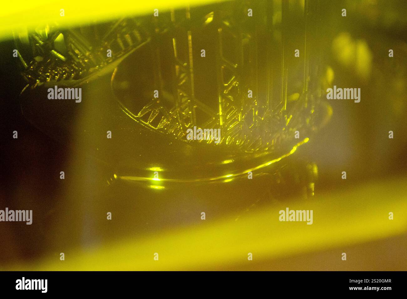 Process working 3D printer. 3D printing from liquid material close-up ...
