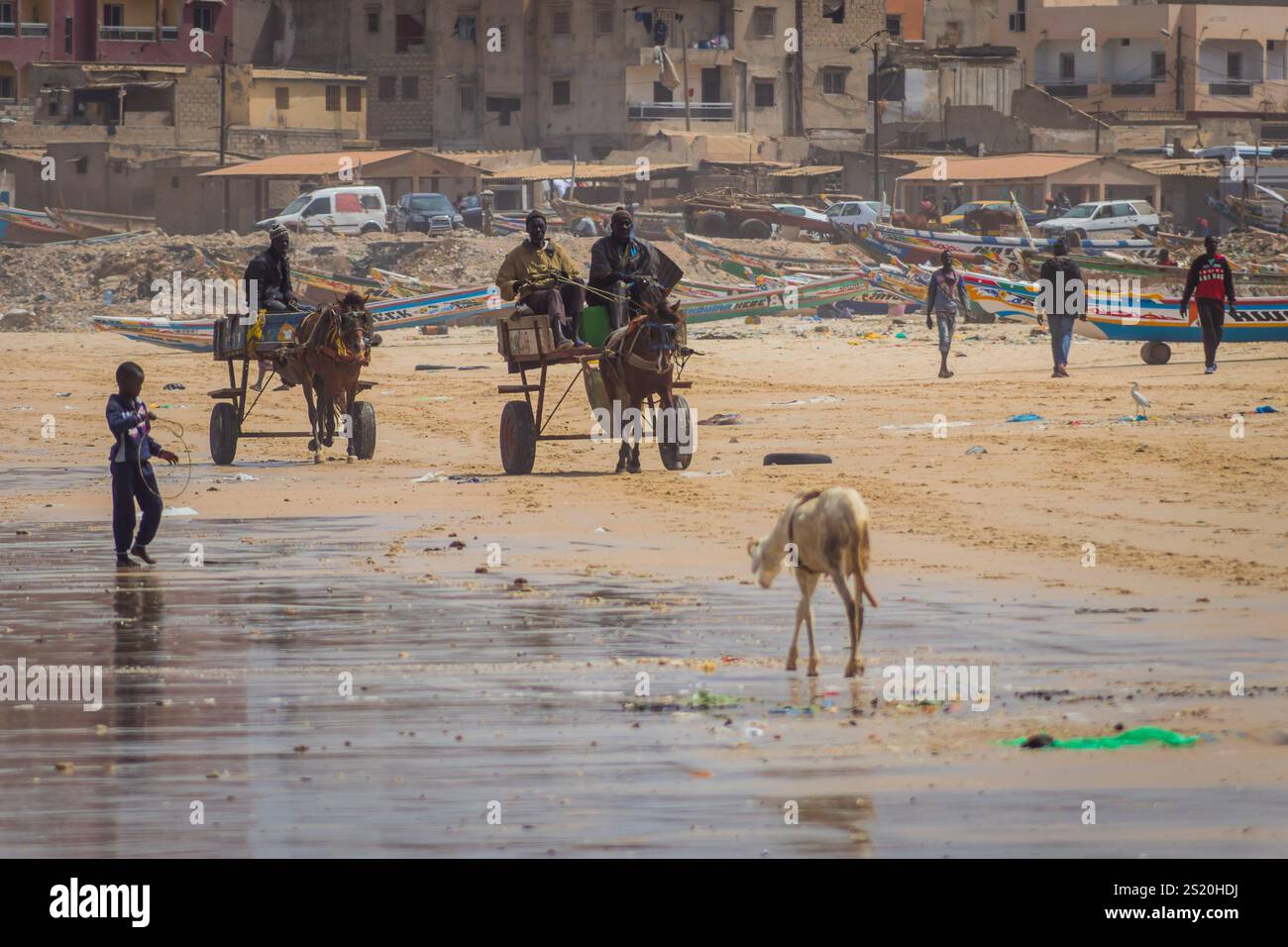 Dakar, Senegal, 16.2.2018: Horses with carriages on the beach at Dakar ...