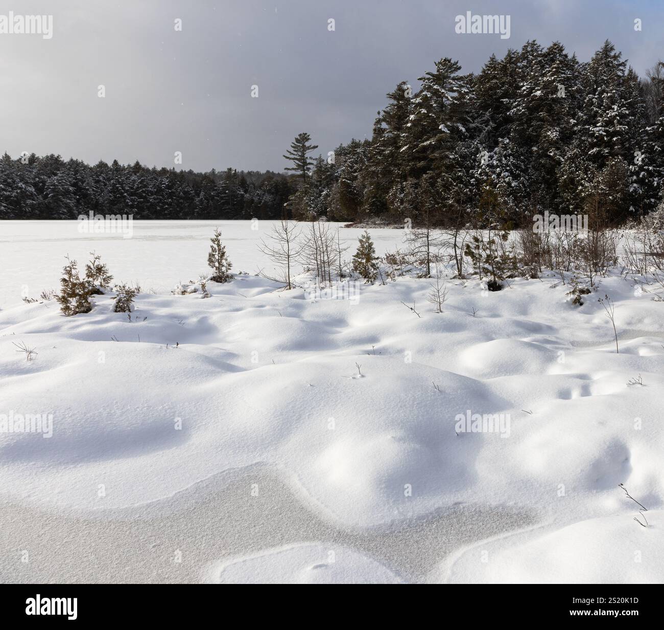 Lake muskoka snow hi-res stock photography and images - Alamy