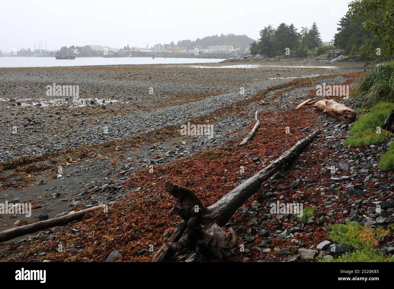 Sitka landscape hi-res stock photography and images - Alamy