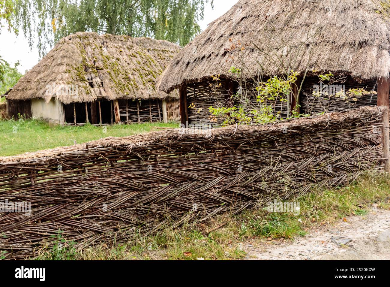 A fence made of wood and straw is in front of two houses. The fence is ...