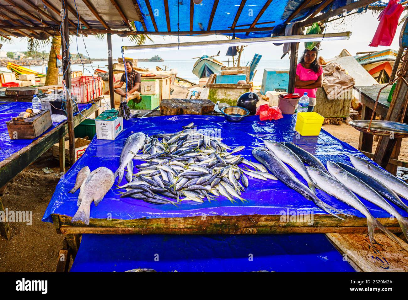 Roadside beach fish market stall selling freshly caught fish and ...