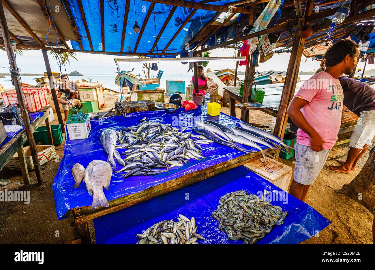 Roadside beach fish market stall selling freshly caught fish and ...