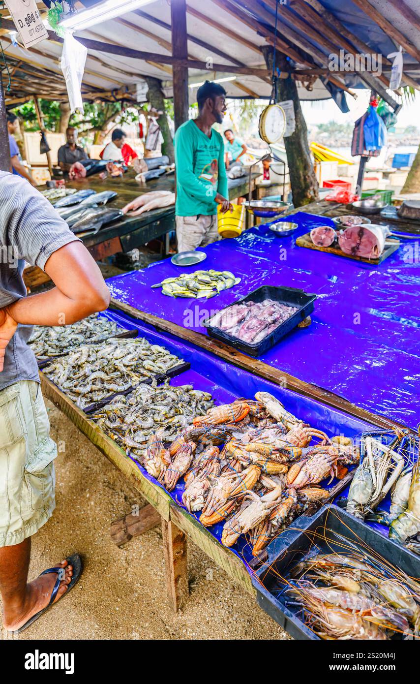 Roadside beach fish market stall selling freshly caught fish, crab, lobster and other seafood ...