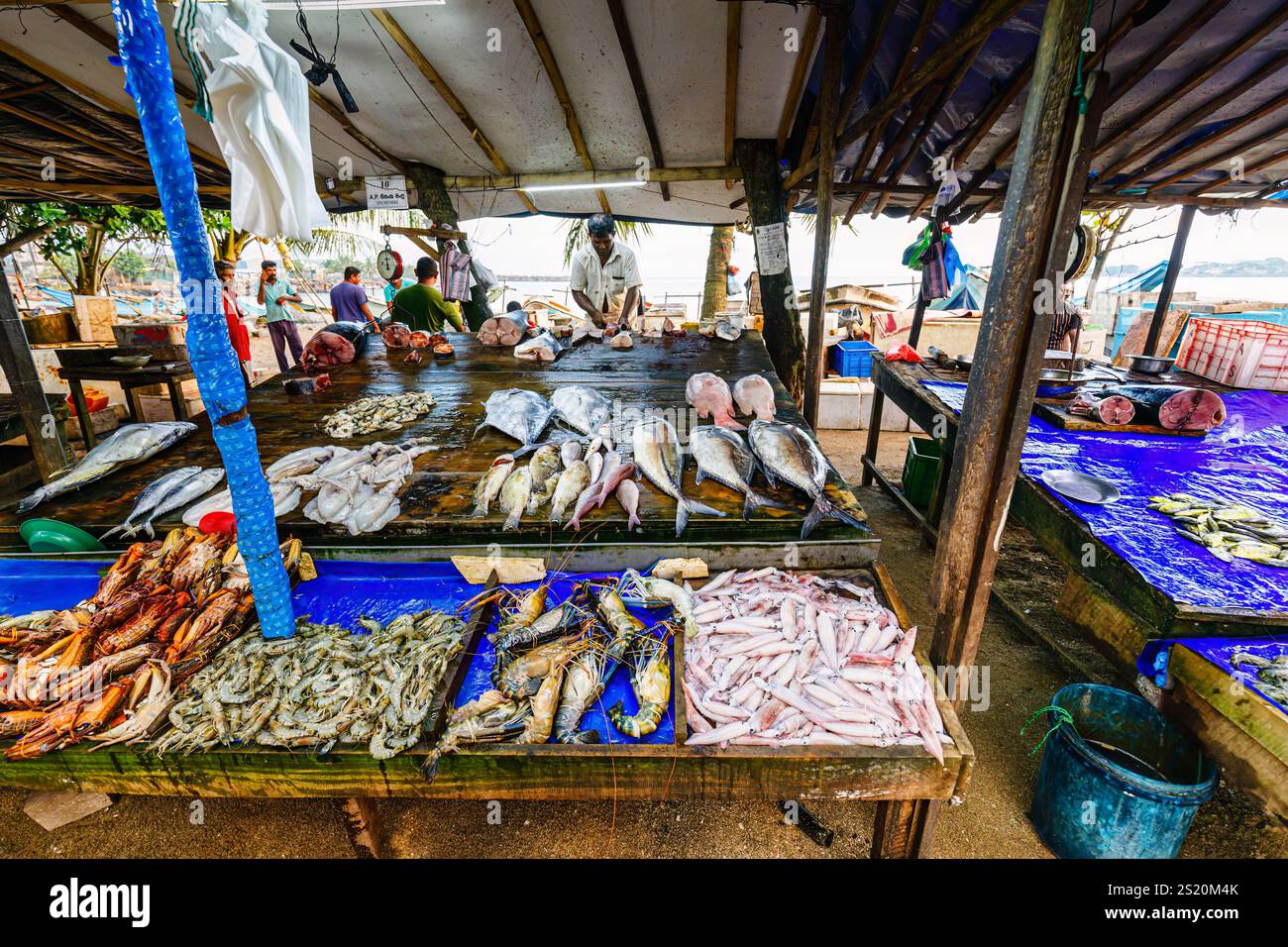 Roadside beach fish market stall selling freshly caught fish, crab ...